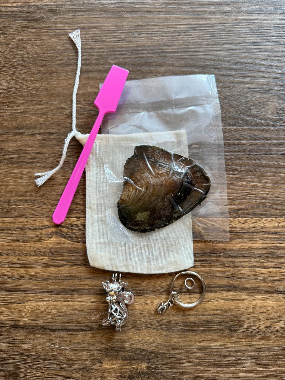 DIY Pearl Discovery Kit, Pearl Opening, Pearl Jewelry, Make Your Own ...