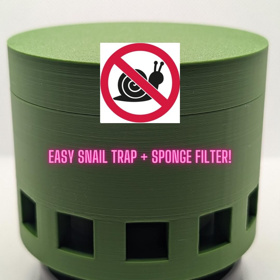 Sponge Filter + Snail Trap! Breakthrough Innovation 2024 - Highly ...