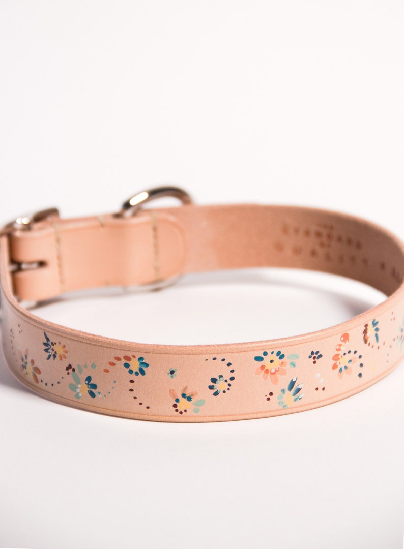 Tan Leather Dog Collar, Hand Painted, Dog Collars for Small Medium ...