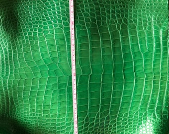 Alligator hide | Etsy