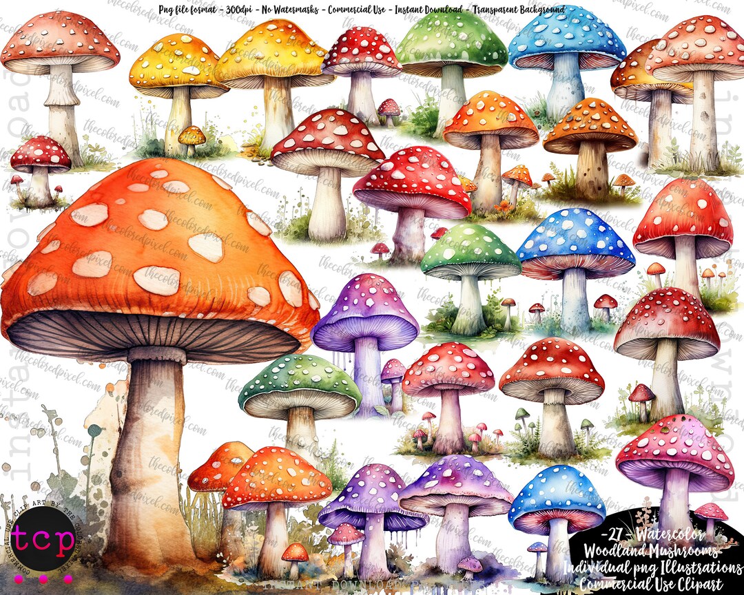 Watercolor Mushrooms Clipart, Cute Forest Nature Toadstool Clip Art ...