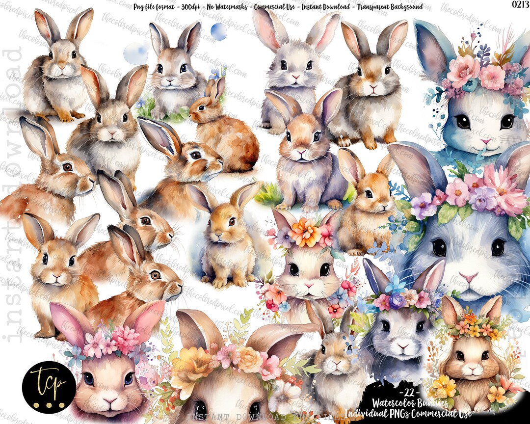 Cute Bunnies Clipart, Cute Rabbit Clipart, Animal Watercolor Cute ...