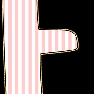 Retro Floral Alphabet PNG Bundle: Grand Millennial Style (digital ...