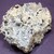Golden Ray CALCITE & GALENA Crystal - Raw Natural Mineral - Collectible ...