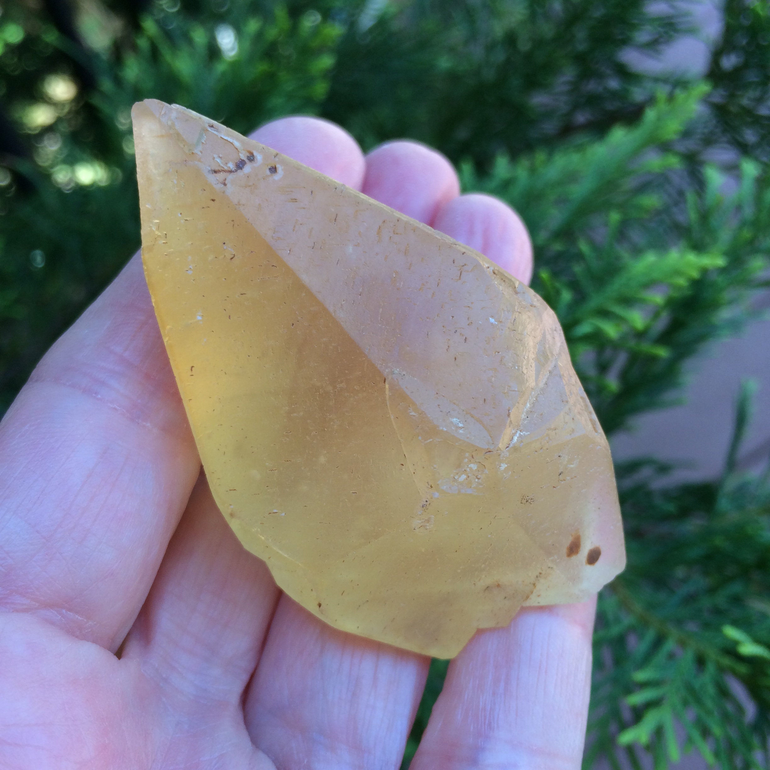 AMBER CALCITE 2.5 Raw Golden Ray Calcite Crystal | Etsy