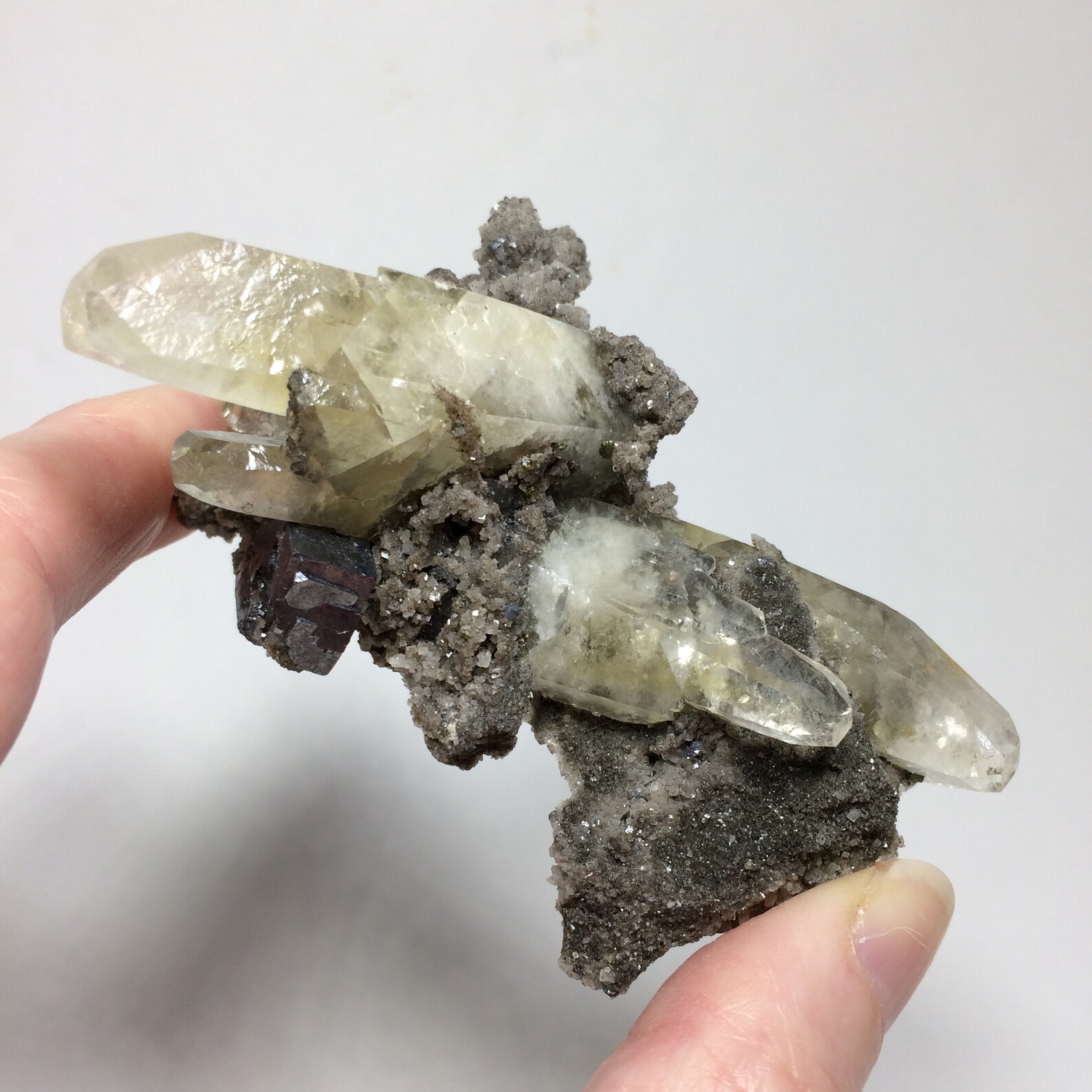 Golden Ray CALCITE & GALENA Crystal - Raw Natural Mineral - Collectible ...