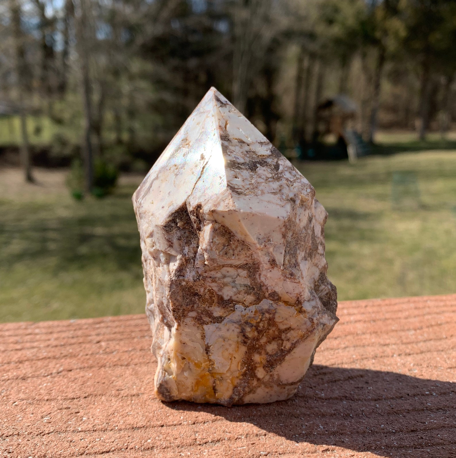 3.7 ZEBRA JASPER Point Rough Natural Crystal With - Etsy