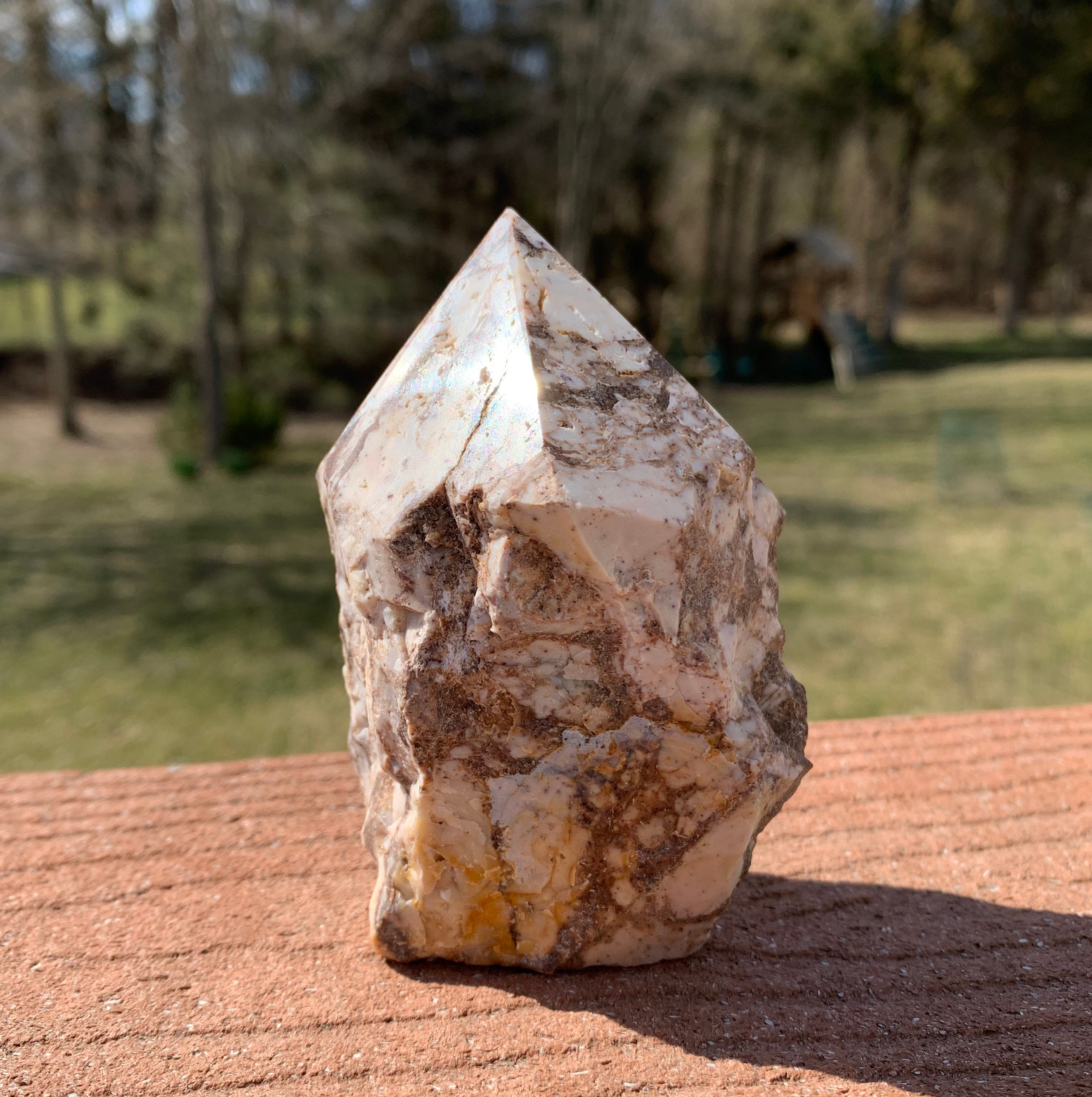 3.7 ZEBRA JASPER Point Rough Natural Crystal With - Etsy