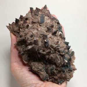 CHOCOLATE CALCITE Crystal Cluster - Calcite With Barite Magnetite ...
