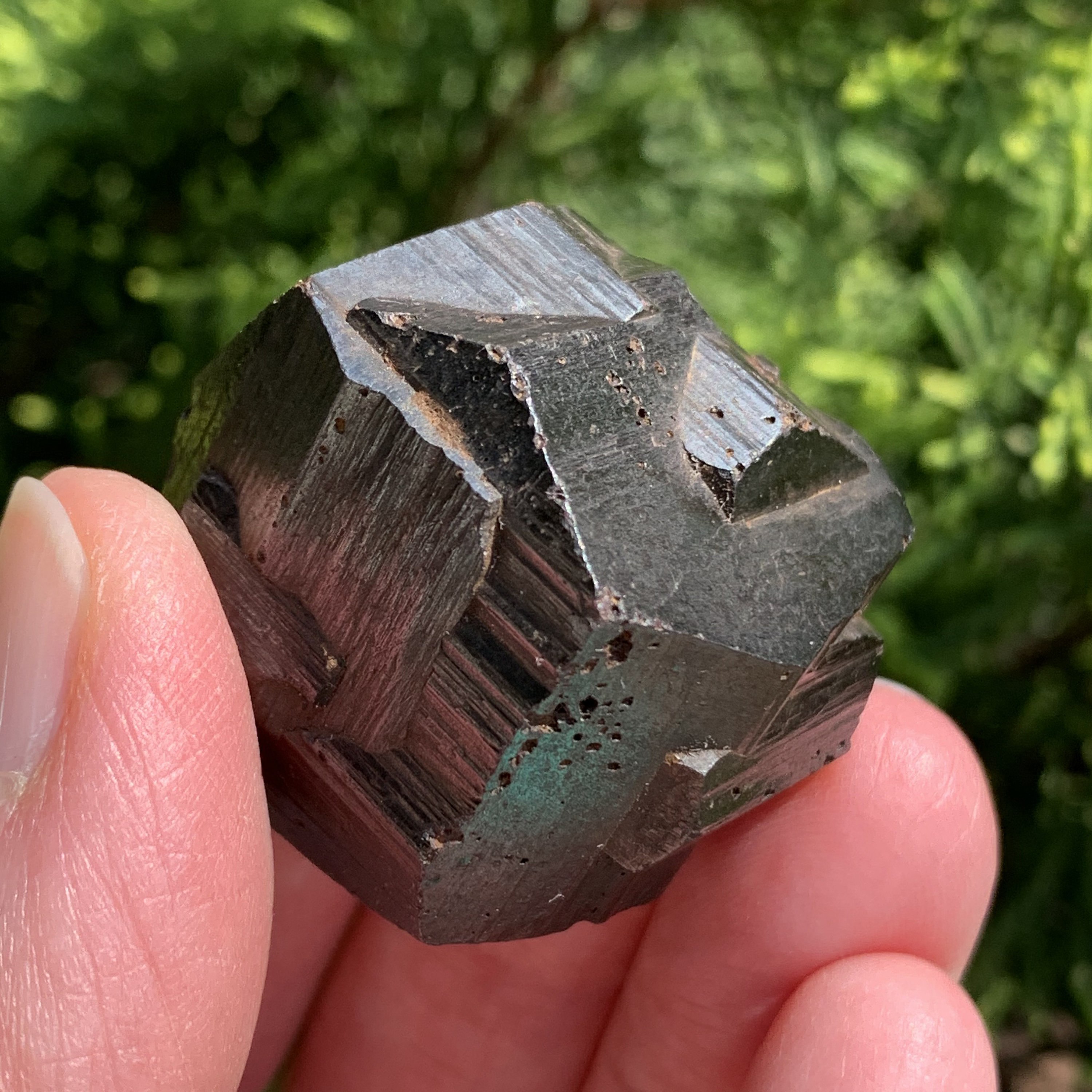 Iron Pyrite Crystals