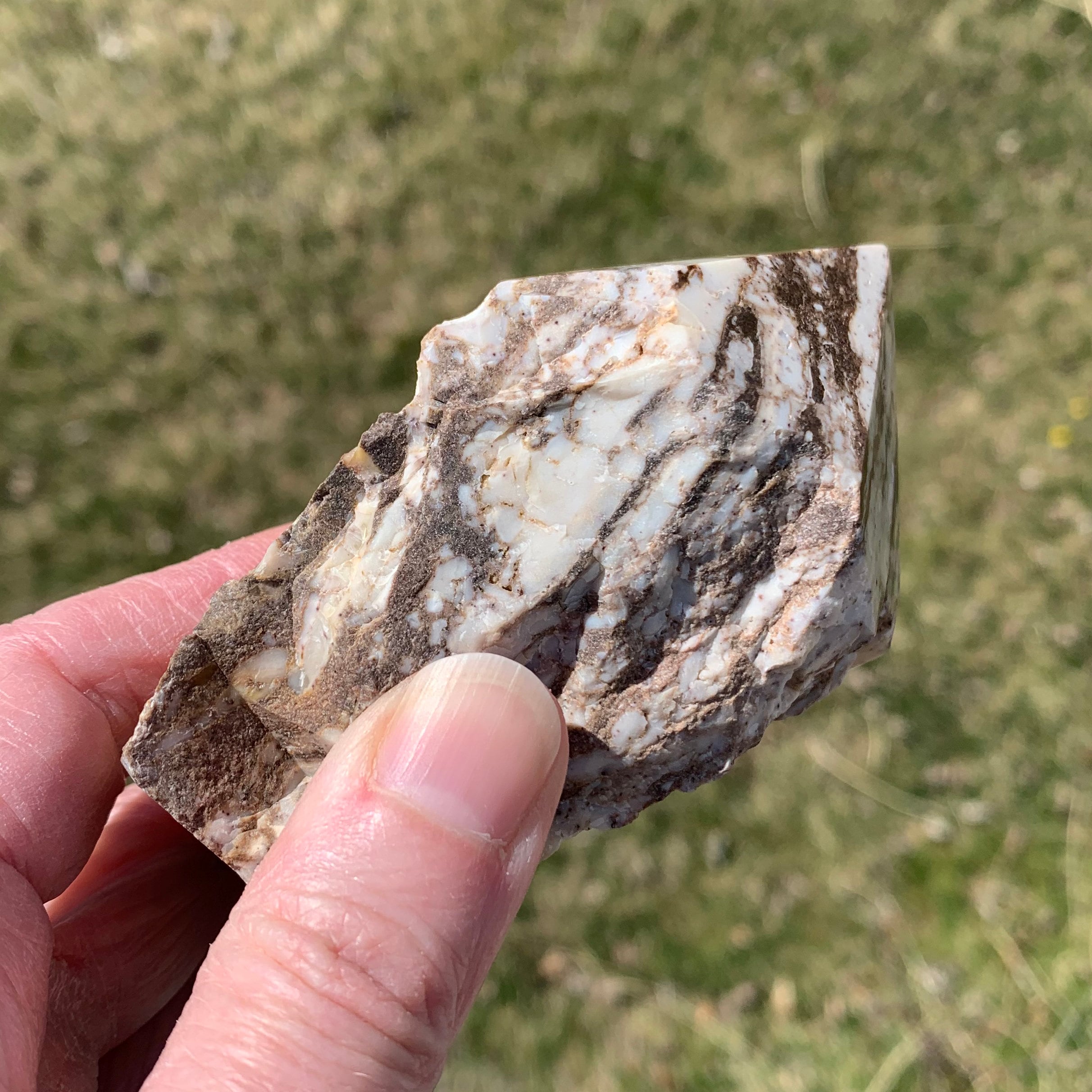 3.7 ZEBRA JASPER Point Rough Natural Crystal With - Etsy