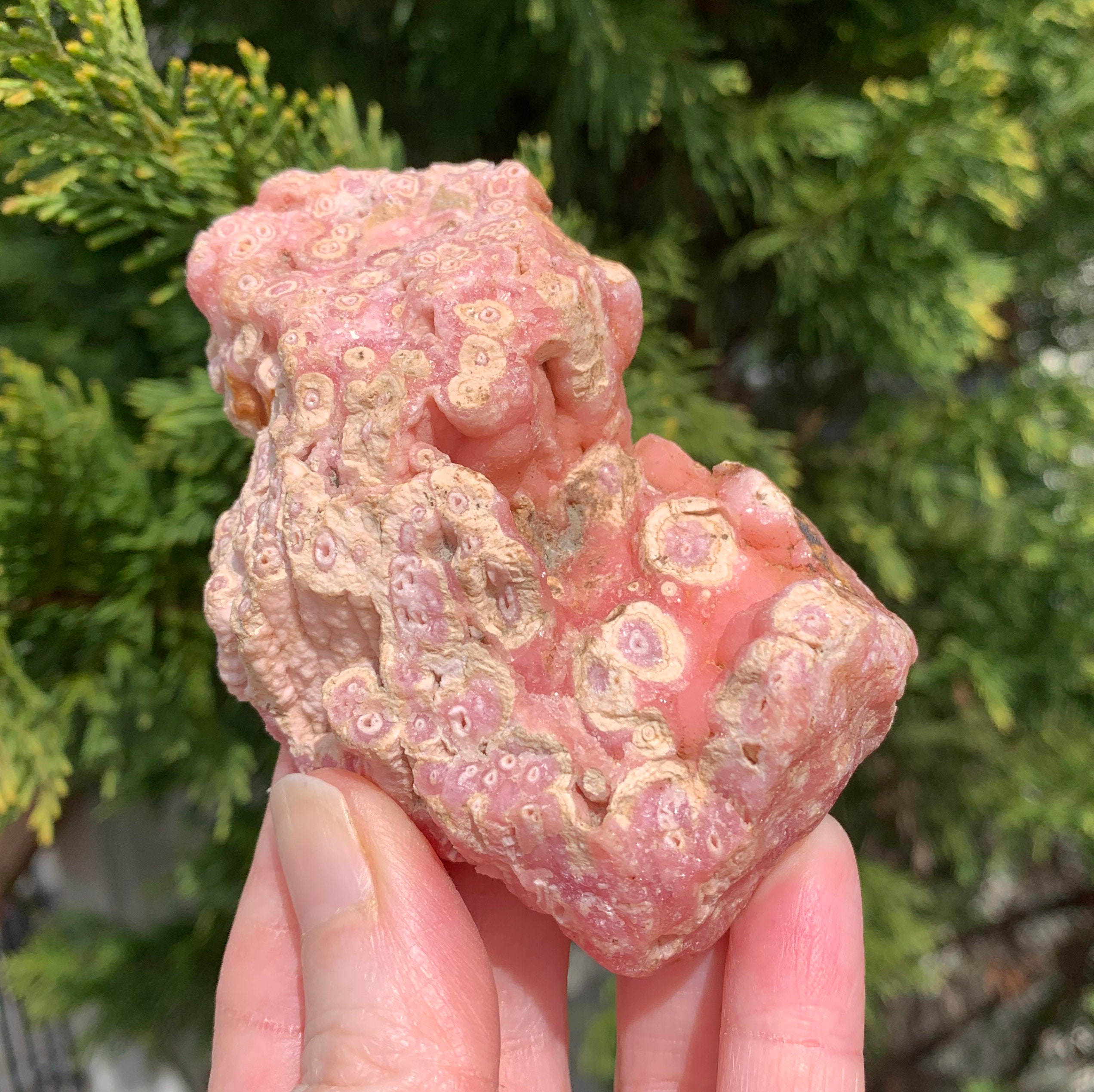 Rocks & Geodes Home & Living Home Décor Rhodochrosite Specimen Raw ...
