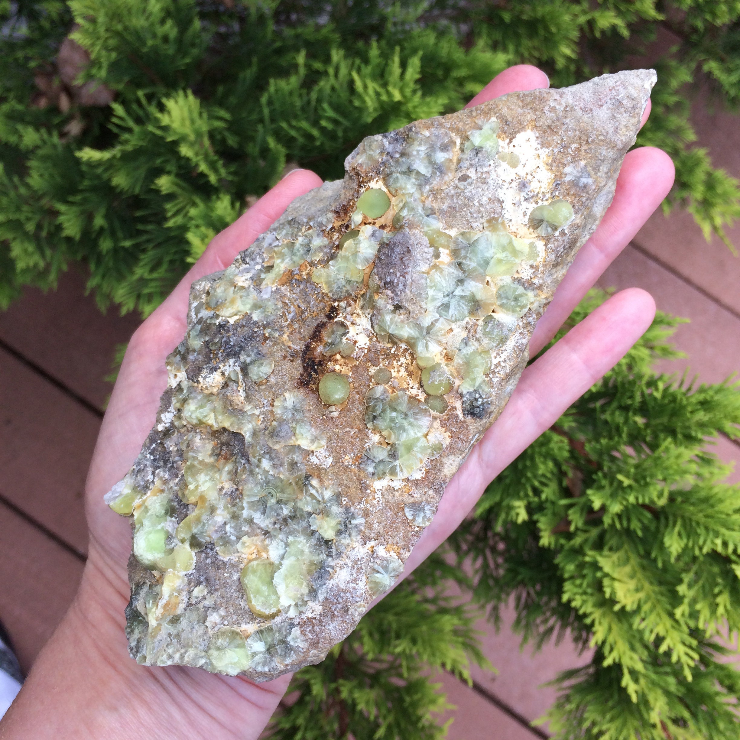 WAVELLITE Specimen Raw Natural Mineral Radial Crystals and - Etsy Singapore