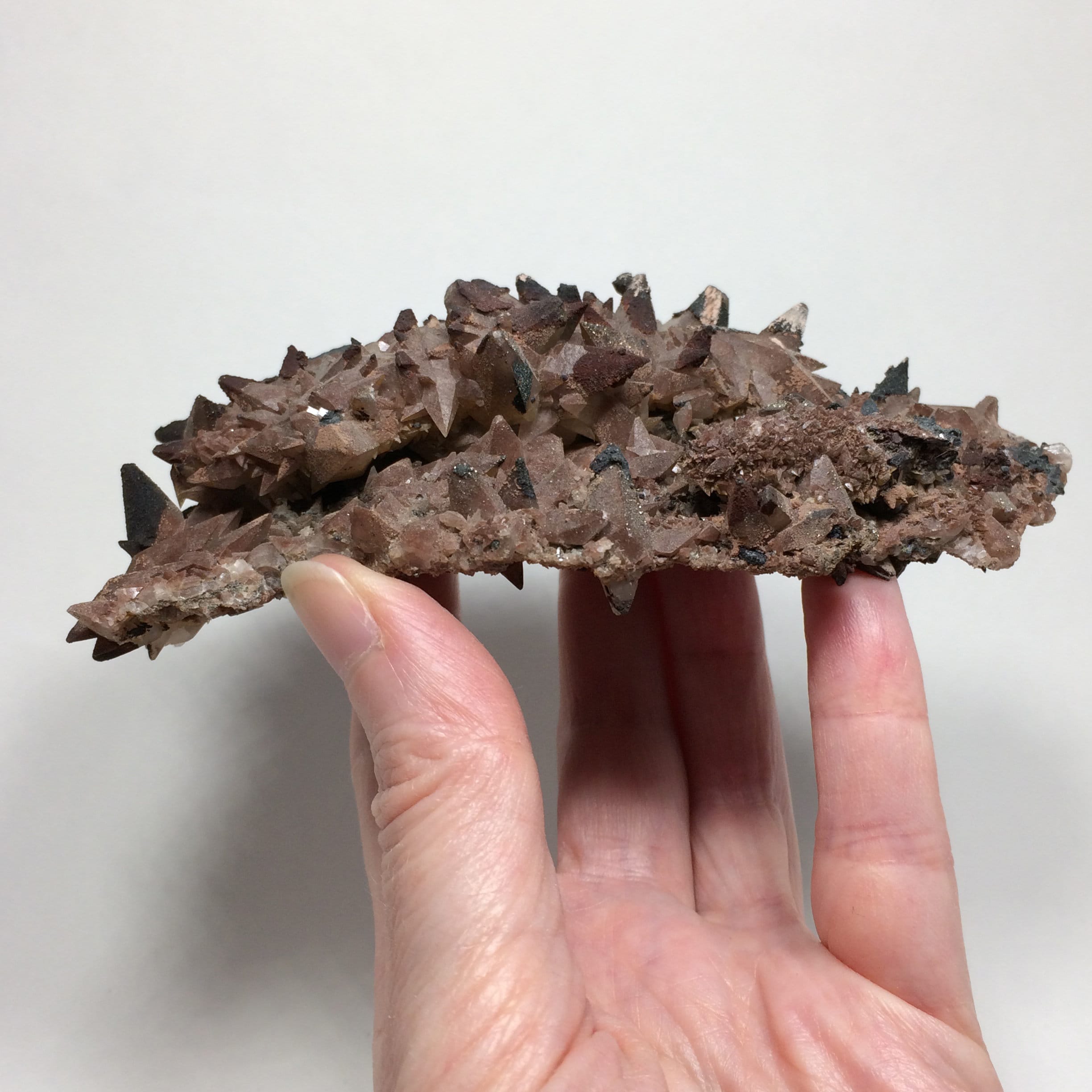 CHOCOLATE CALCITE Crystal Cluster - Calcite With Barite Magnetite ...