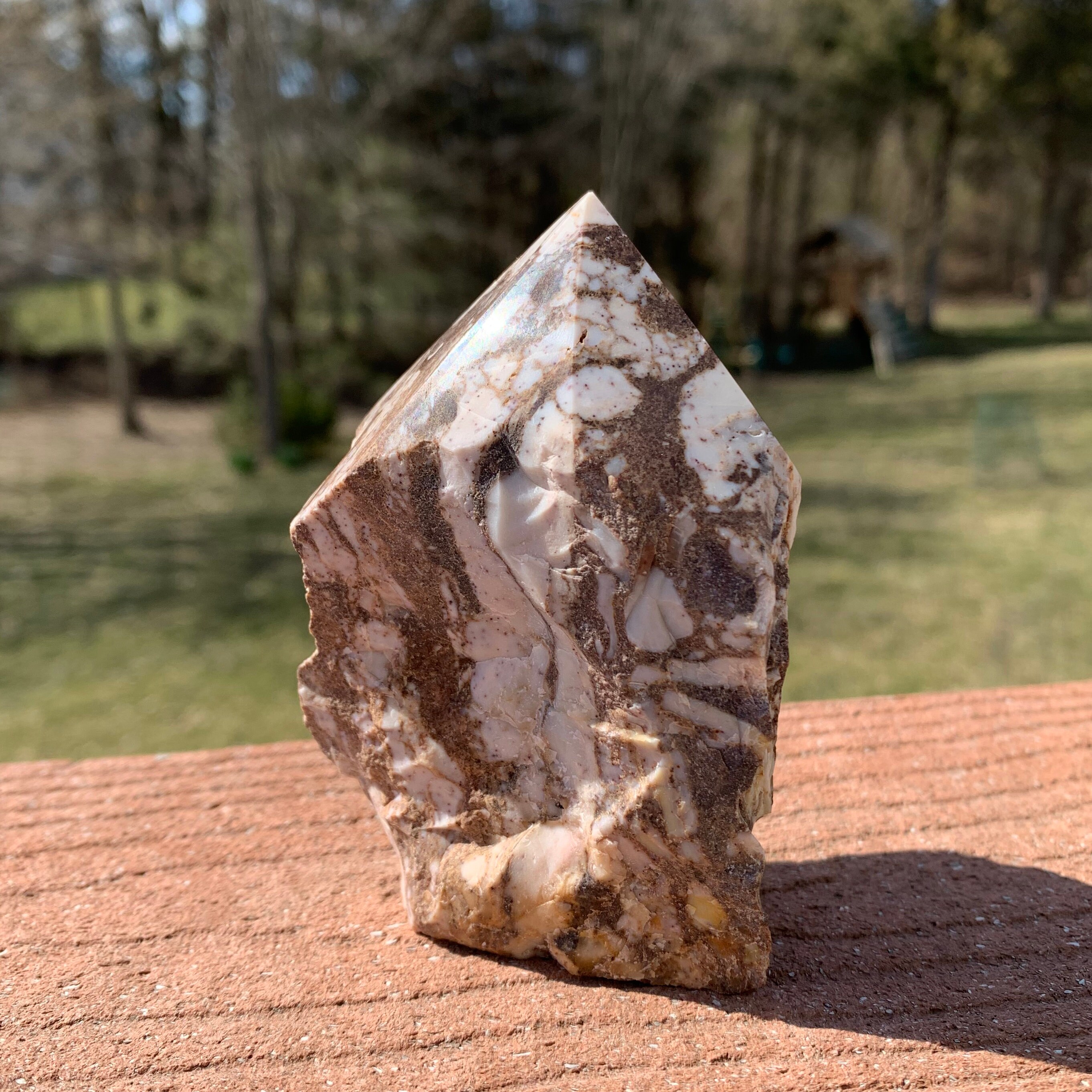 3.7 ZEBRA JASPER Point Rough Natural Crystal With - Etsy