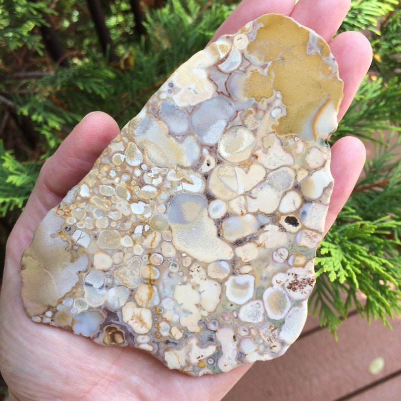 AUSTRALIAN AGATE Slab 5.1" - Flat Stone Slice - Both Sides Polished ...