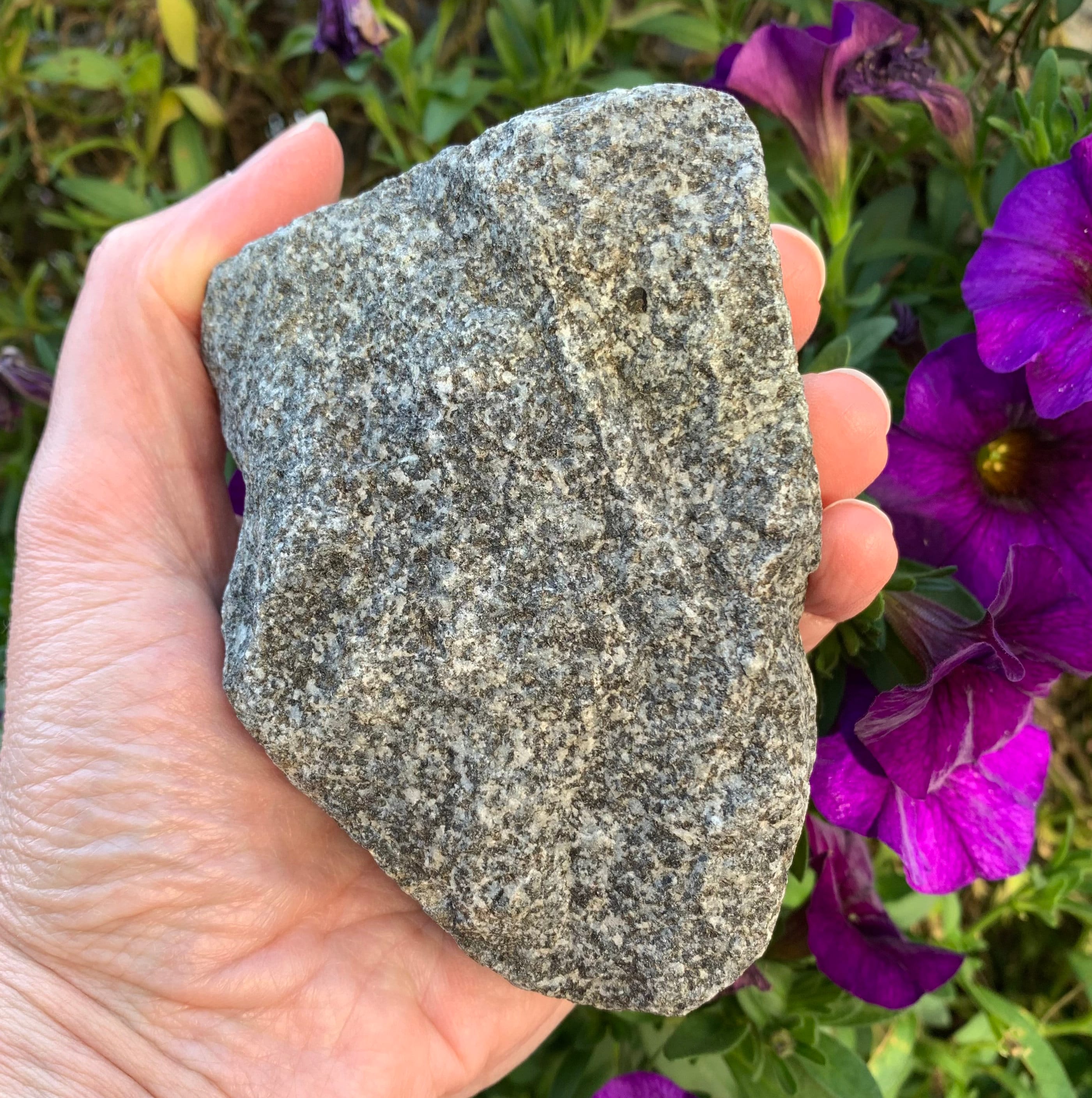 Granite Igneous Rock