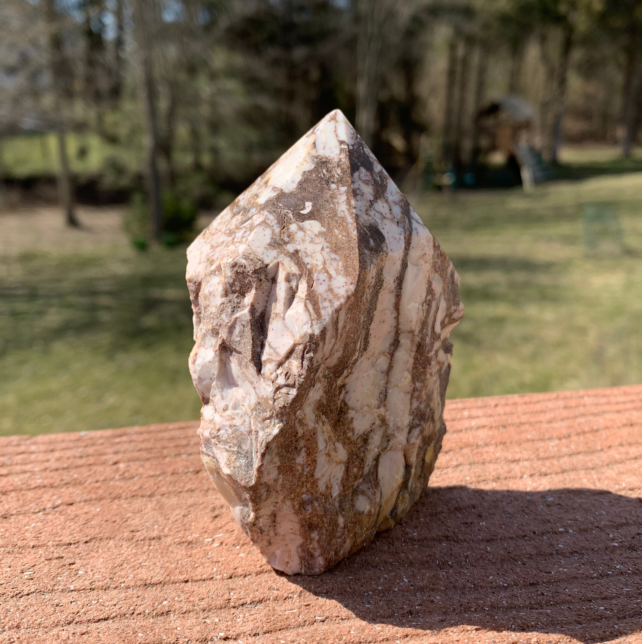 3.7" ZEBRA JASPER Point - Rough Natural Crystal With Polished Top ...