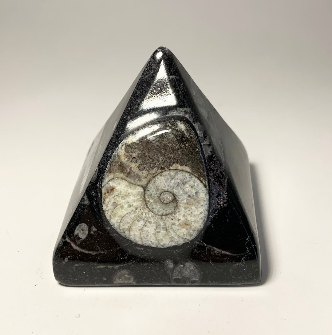 60mm ORTHOCERAS FOSSIL PYRAMID From Morocco - Etsy