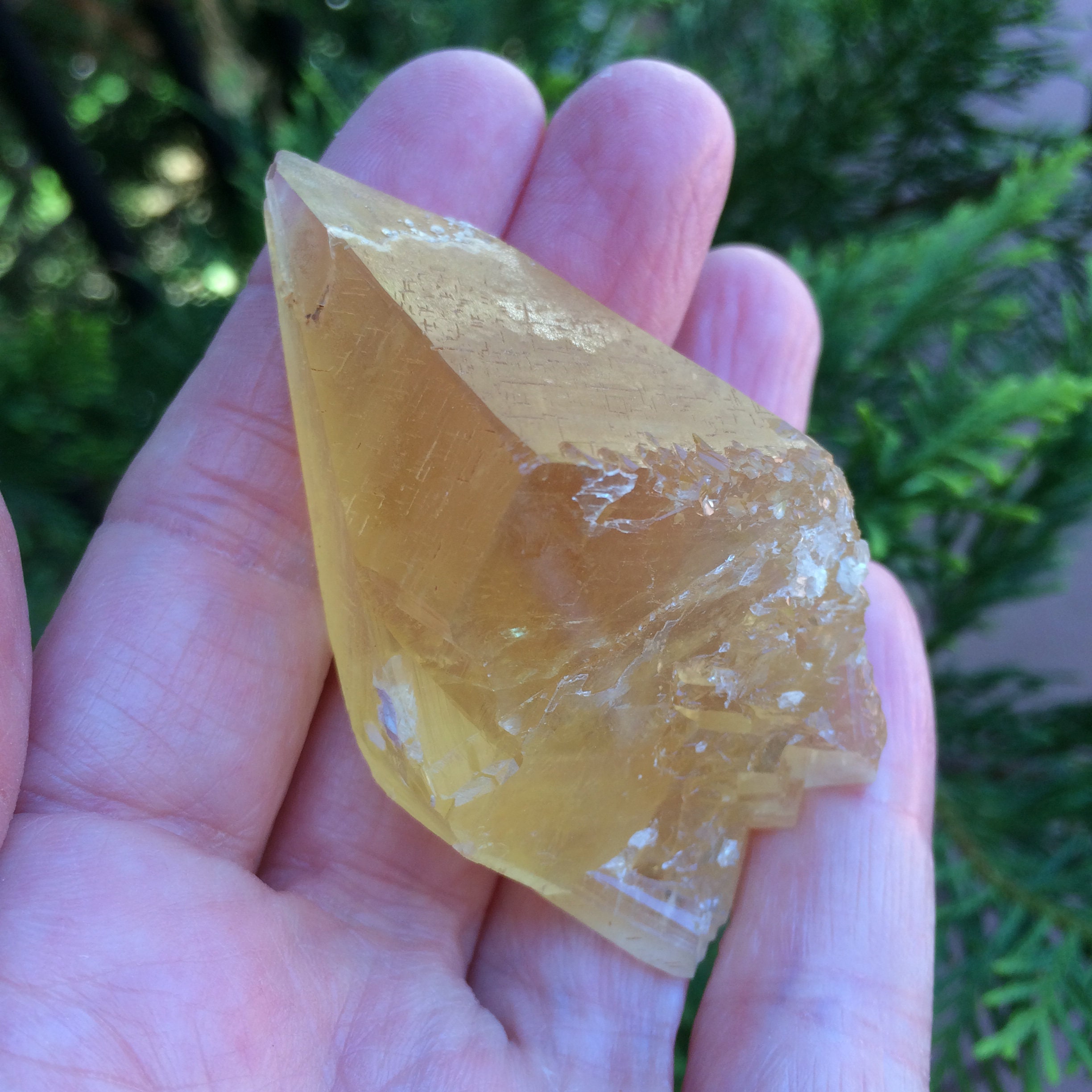 AMBER CALCITE 2.5 Raw Golden Ray Calcite Crystal | Etsy