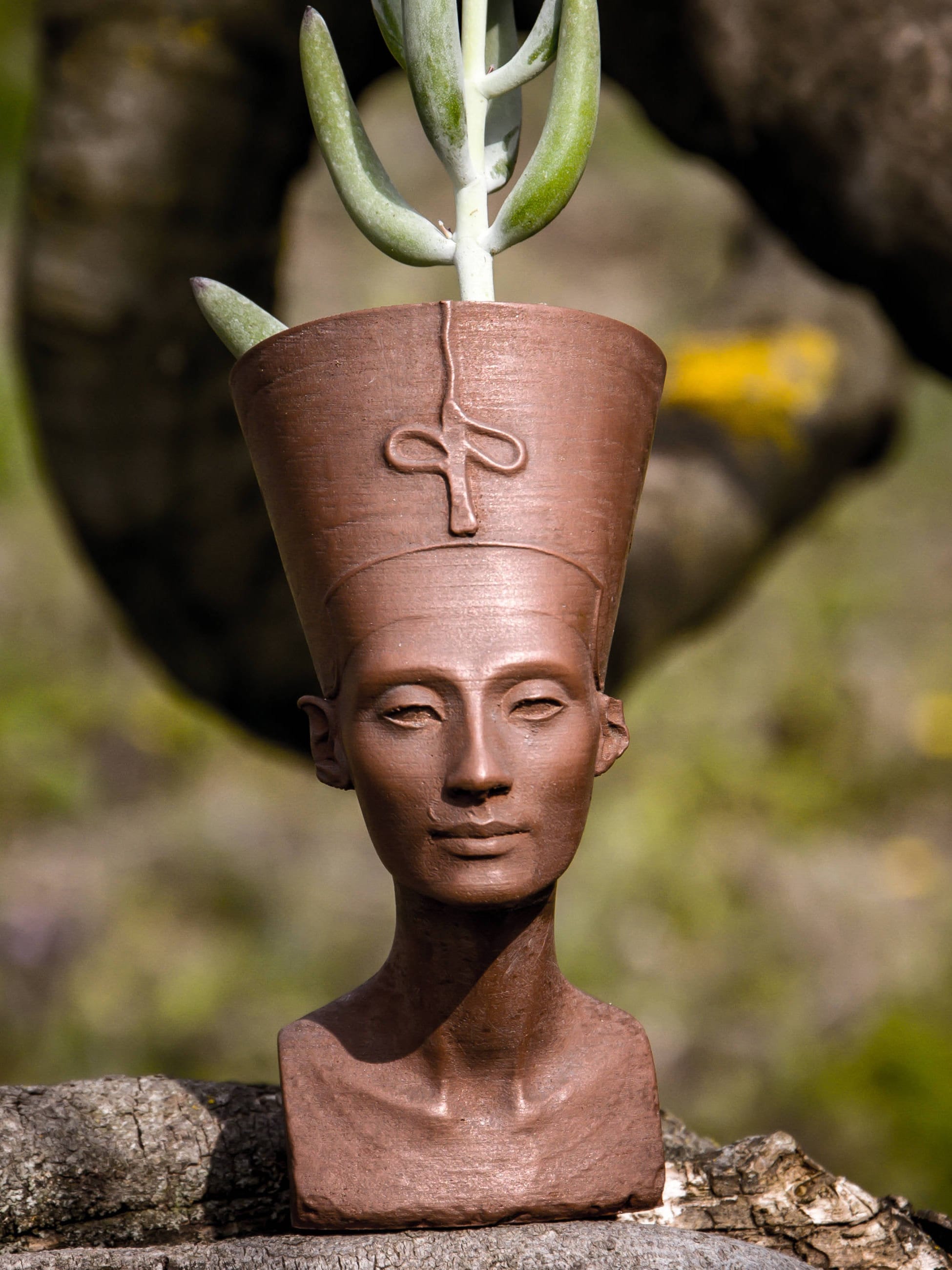 Lady Head Succulent or Cactus Planter Pot Beautiful Girl Flower Vase ...