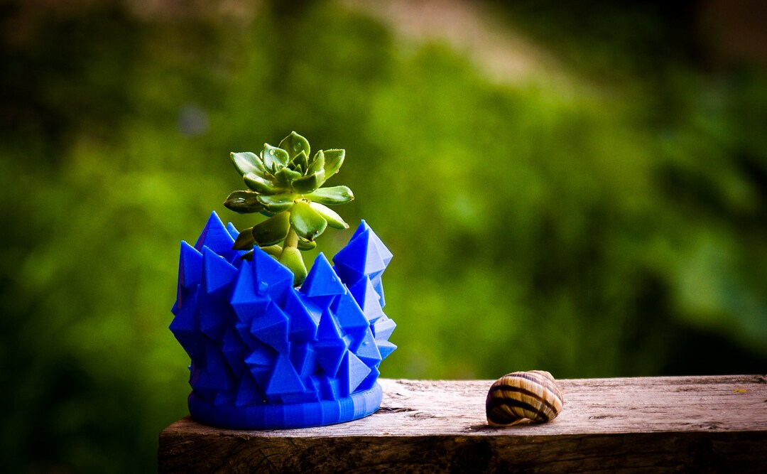 Abstract Succulent Planter, Asymmetric Air Plant Pot, Unique Garden ...