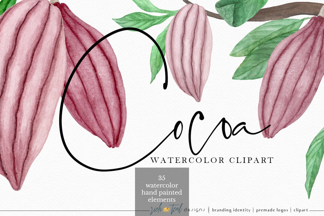 Cocoa Clipart, Watercolor Cocoa Clipart, Cacao, Watercolor Cacao, Cacao ...