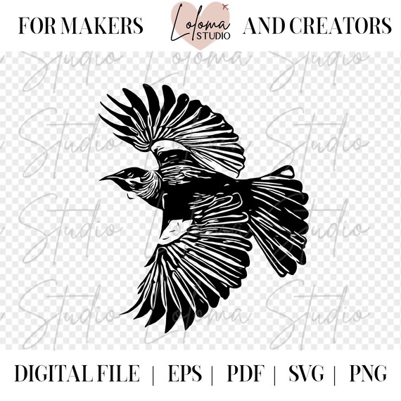 Tui Bird Clipart Png