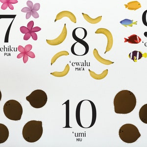 Hawaii Illustrated Numbers (1-10) Digital Print - Etsy