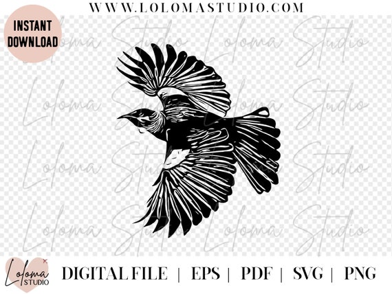 Aotearoa Nz Tui Bird SVG Design SVG Cut File Polynesian | Etsy