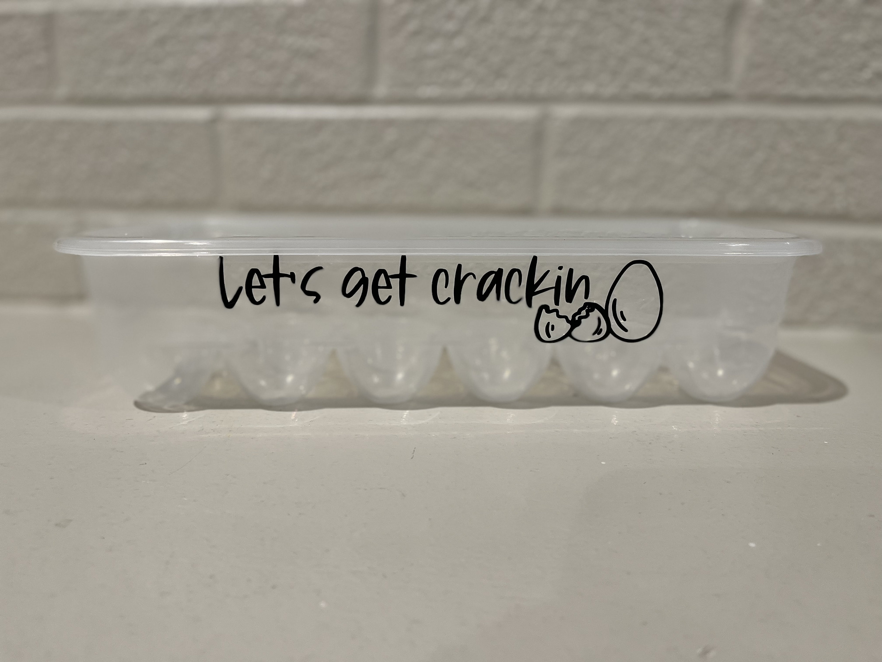 Plastic Egg Carton With Lid/reusable Egg Container/farmhouse Egg ...