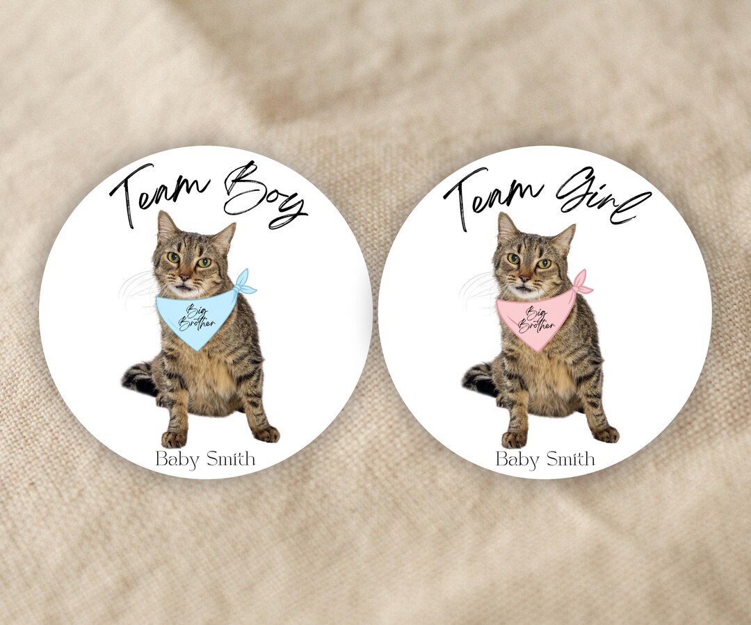 Custom Cat Gender Reveal Stickers, Team Girl Boy, Gender Reveal Tags ...