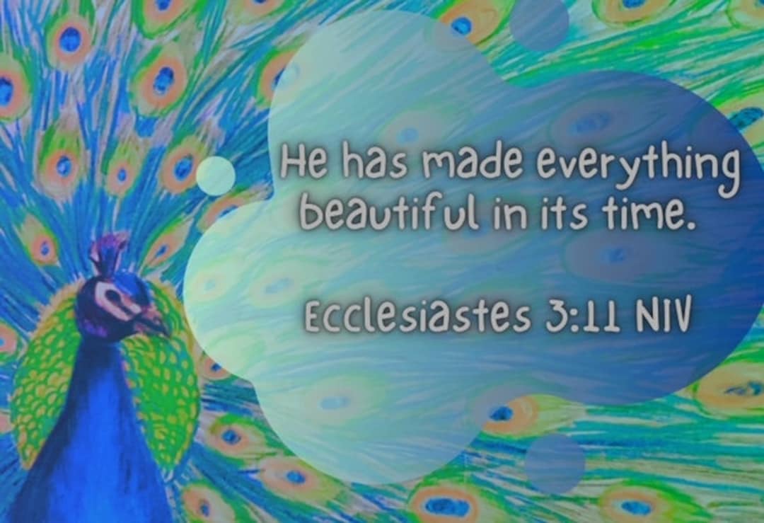 Bible Verse Poster - Ecclesiastes 3:11 | He Has Made Everything ...