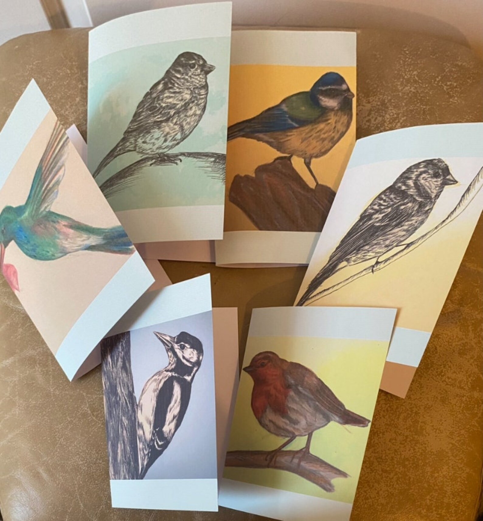 Garden Birds Greeting Cards pack of 6 Blank Inside Prints of Hand Drawn ...