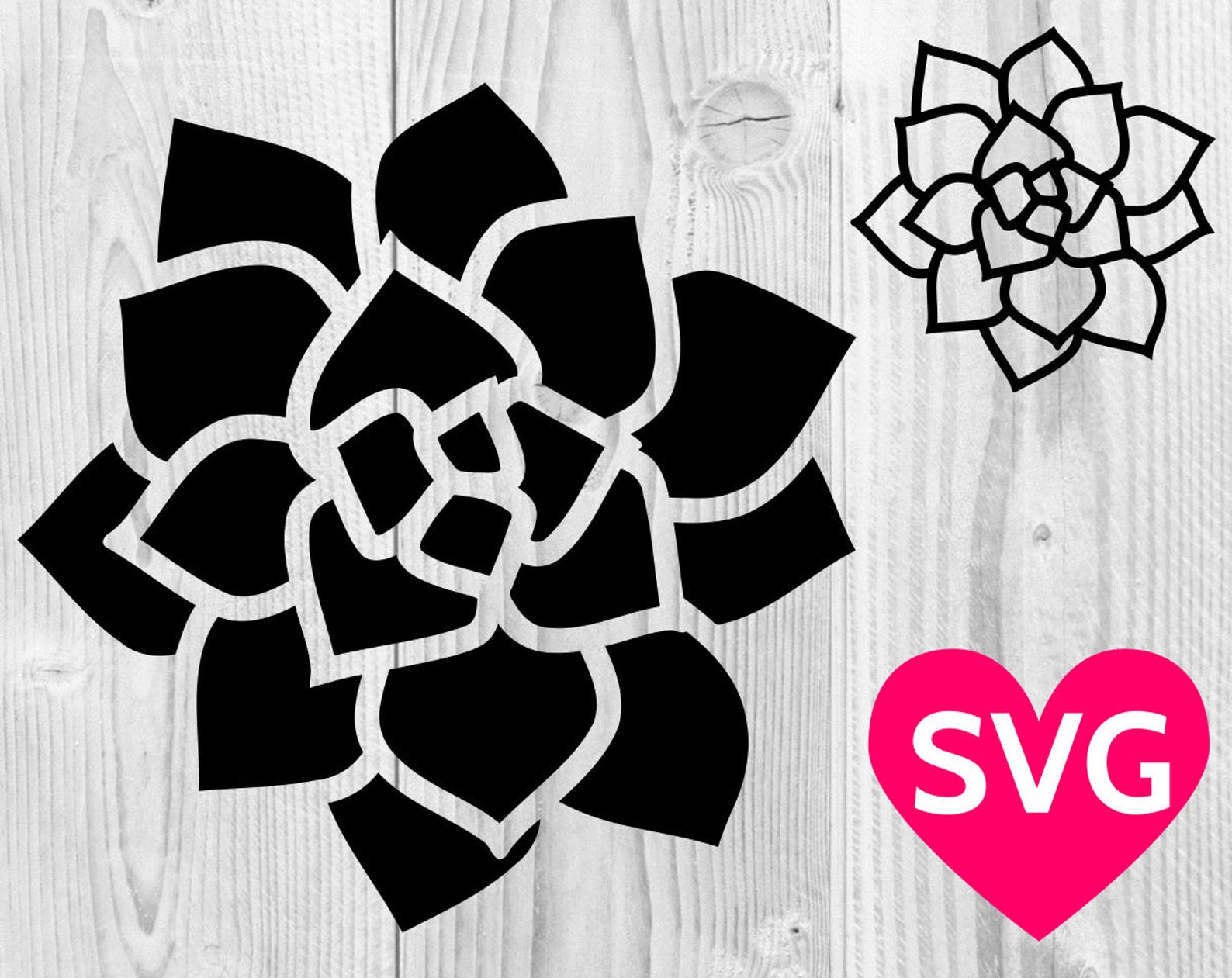 Succulent SVG File, Succulent Clipart, Succulent DXF, Succulent PDF ...