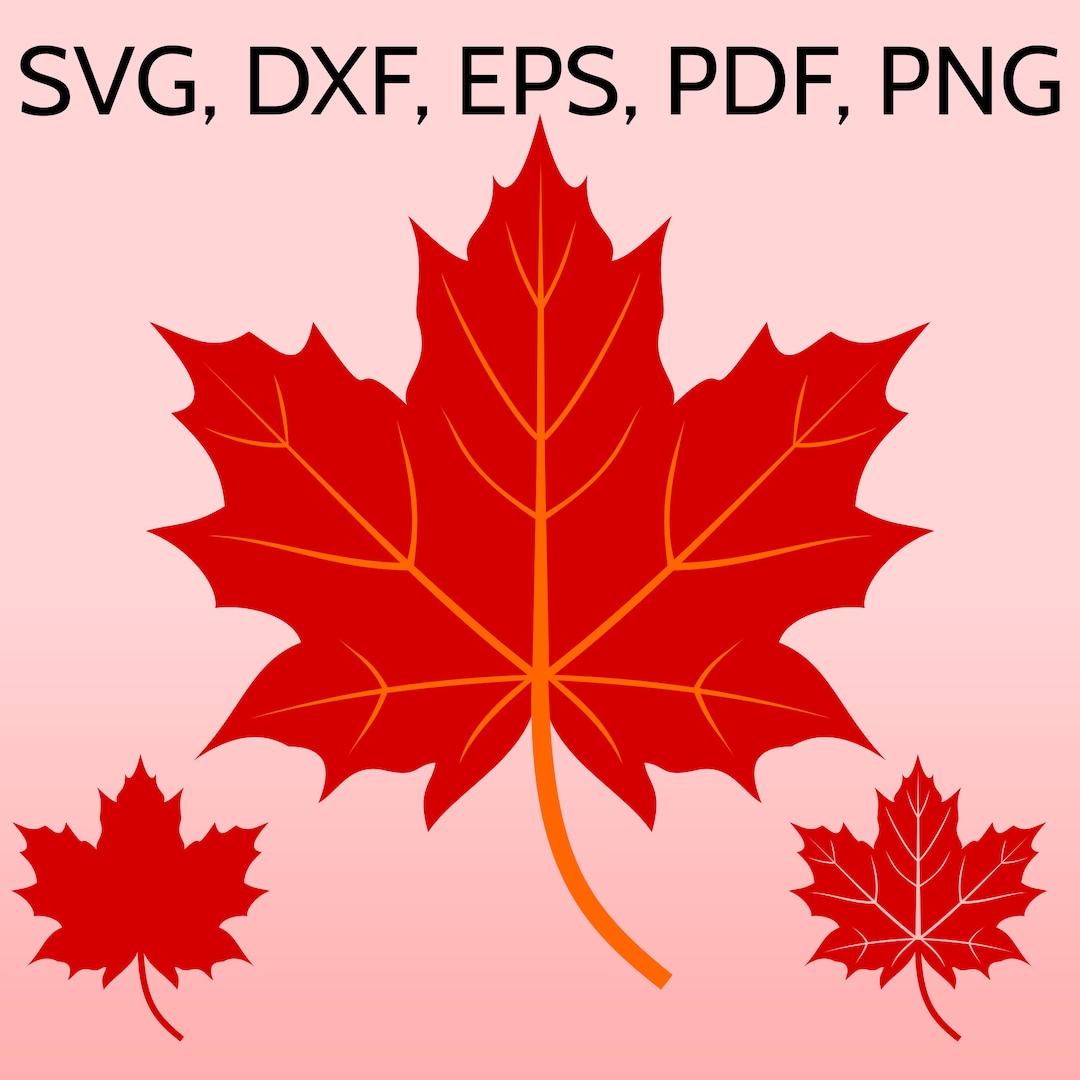 Maple Leaf SVG File for Cricut, Fall Leaf Clipart, Canadian Maple ...