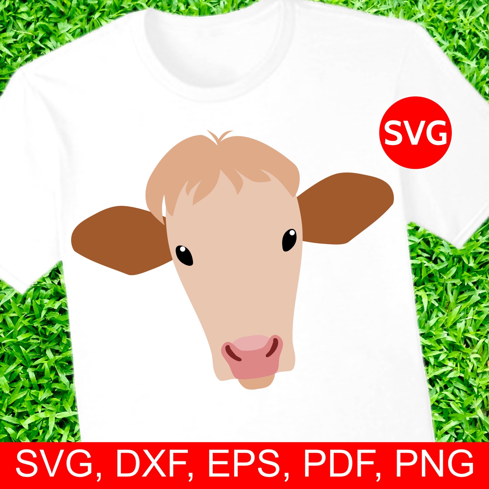 Heifer SVG File, Heifer Cow SVG File for Cricut & Silhouette, Heifer ...