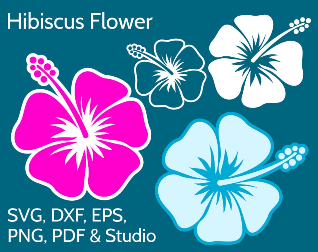 Hibiscus Svg Flower Clipart Etsy