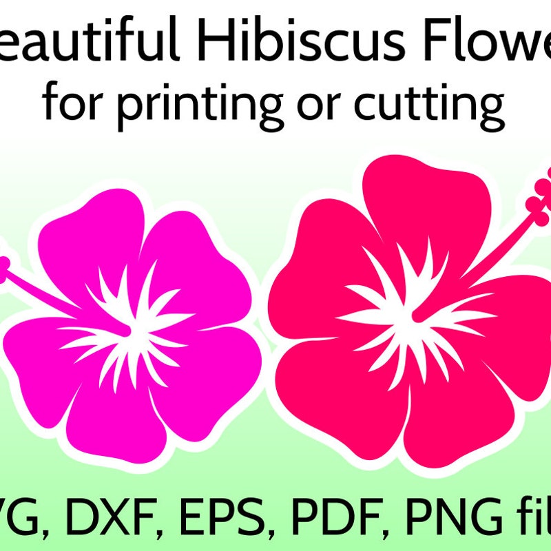 Hibiscus Flower Svg - Etsy