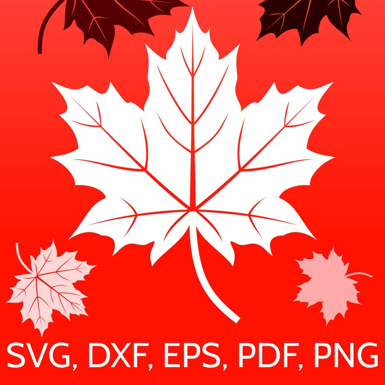 Maple Leaf SVG File for Cricut, Fall Leaf Clipart, Canadian Maple ...