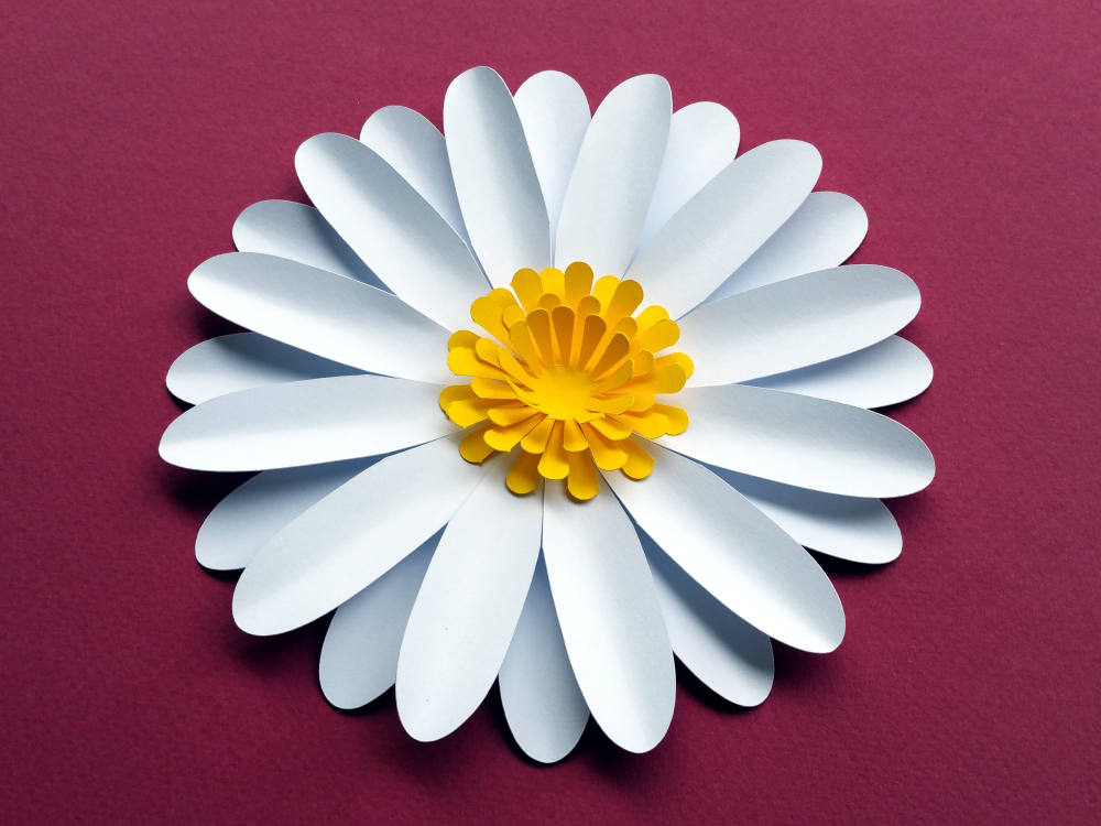 Easy DIY Daisy Gerbera Paper Flower Template SVG And PDF To Cut With 