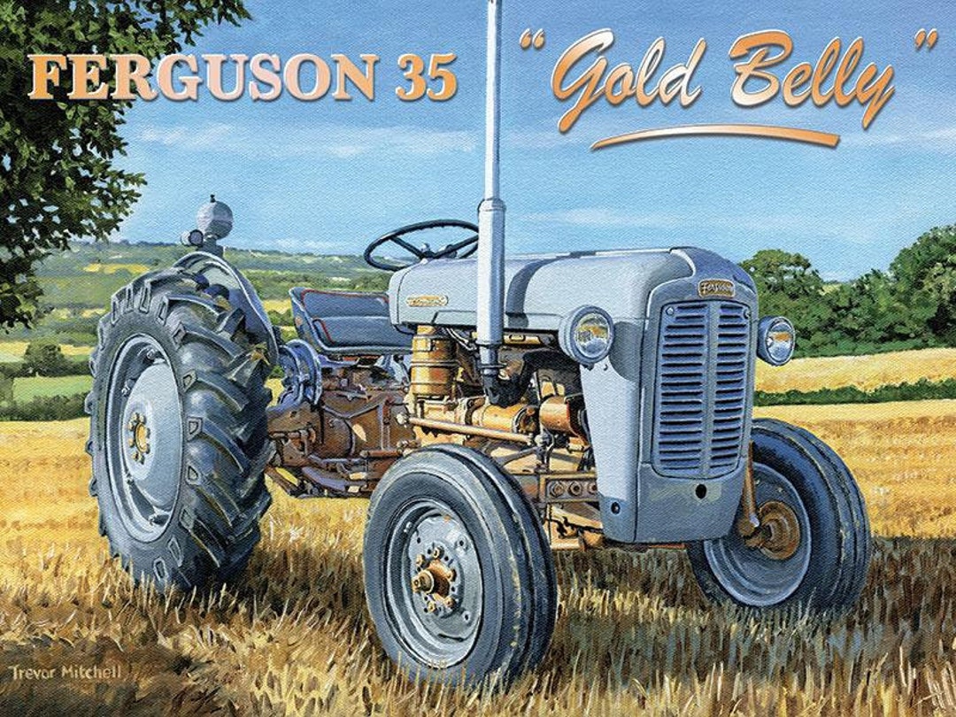 Ferguson 35 Gold Belly Grey Fergie Farm Tractor Old Garage Metal/steel ...