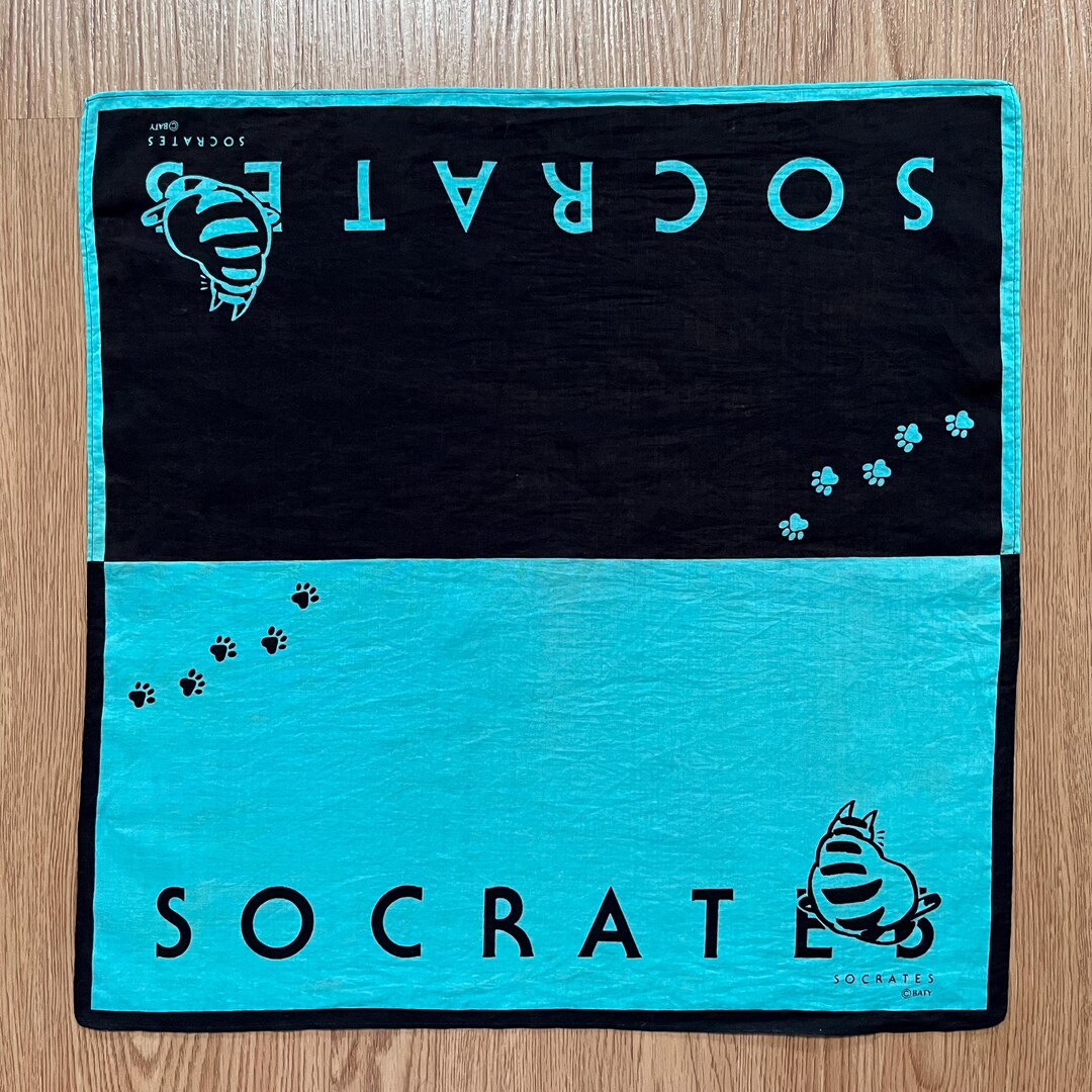 Vintage Socrates / Cat You Are Not Alone Handkerchief - Etsy