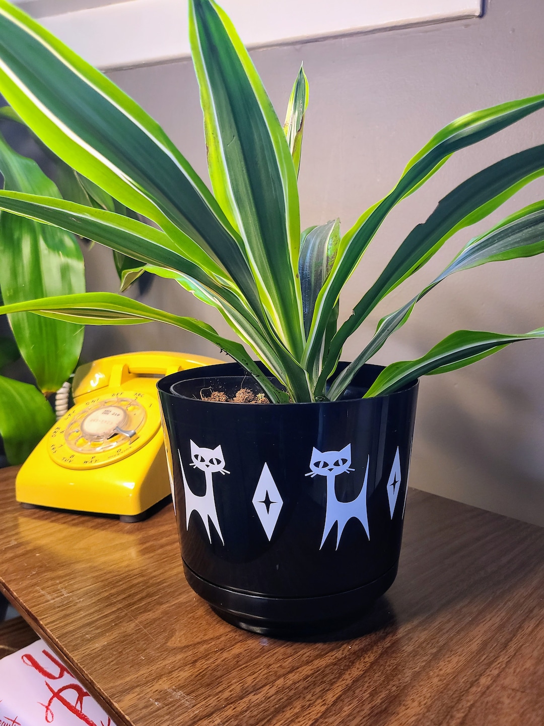 Atomic Cats 6" Planter - Mid Century MCM Atomic Style (plant Not ...