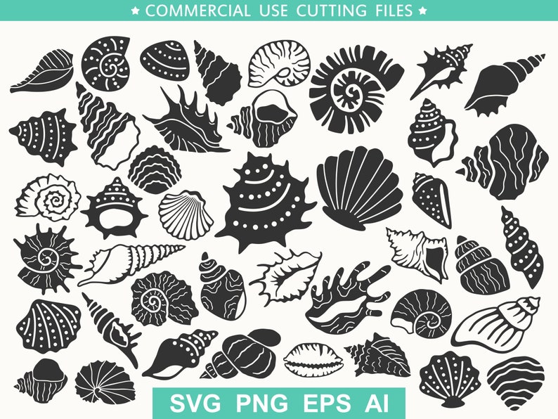 Seashell SVG Bundle, Seashell PNG Bundle, Shell Clipart, Shell SVG Cut ...
