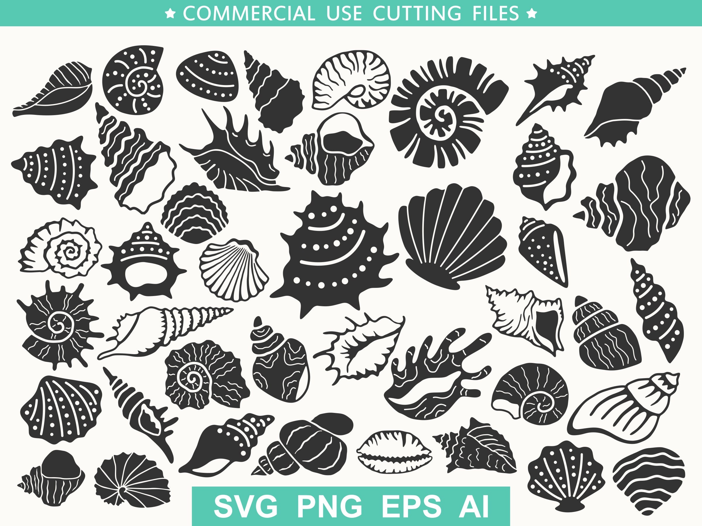 Seashell SVG Bundle, Seashell PNG Bundle, Shell Clipart, Shell SVG Cut ...