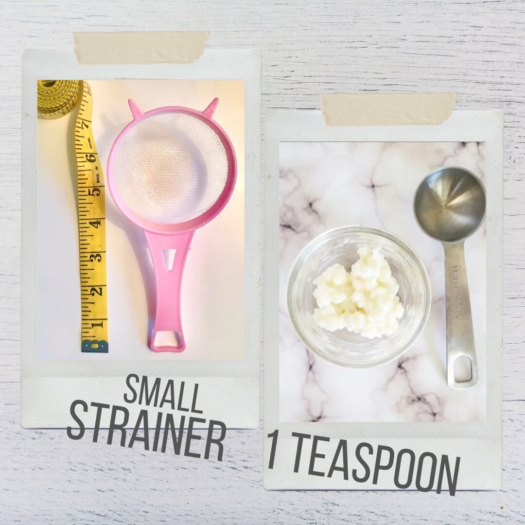 A2 Raw Milk Kefir Grains Small Strainer Guide & Recipe Ebook Probiotic ...