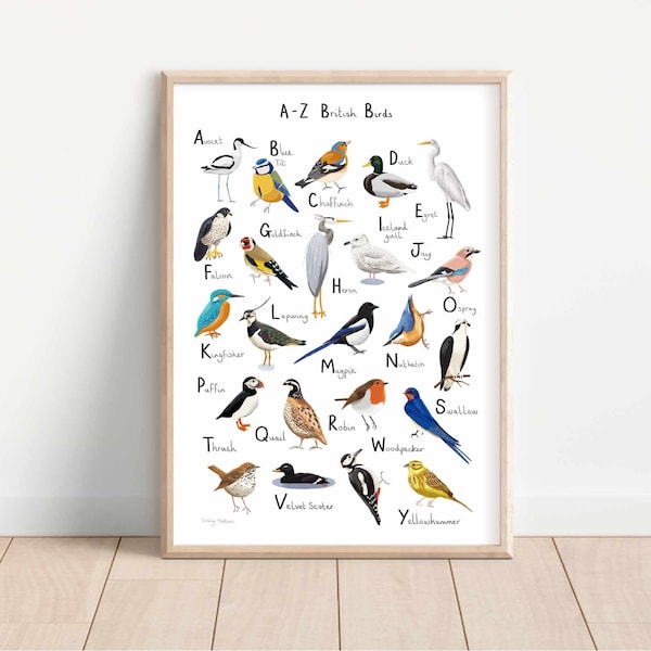 British Birds Poster - Etsy UK