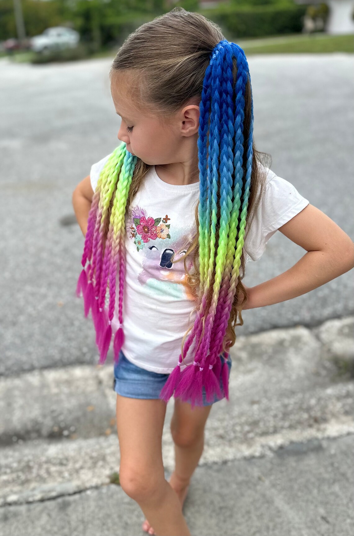 Rainbow Braided Ponytail Extensions Set - Etsy