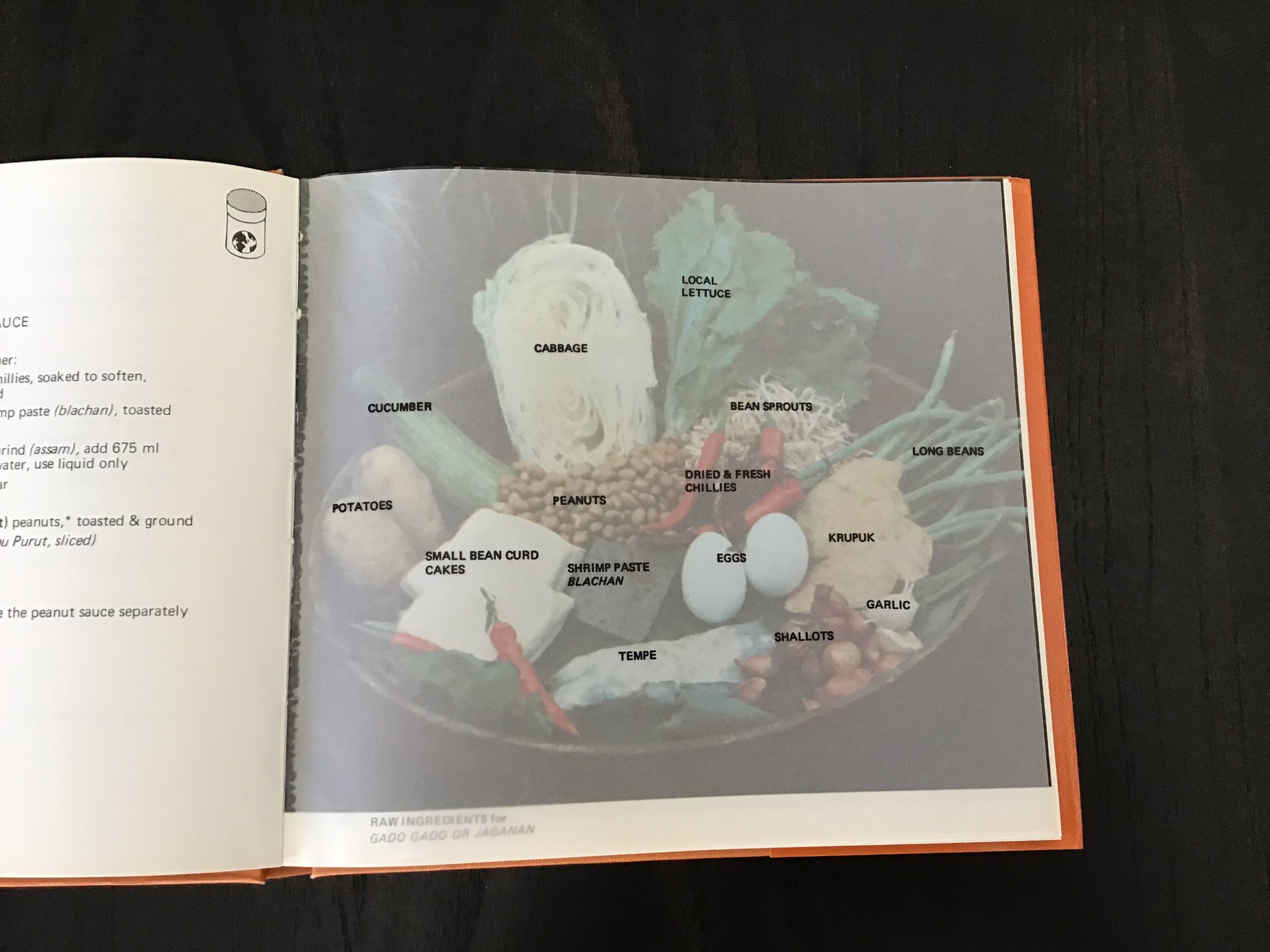 Mrs. Lees Cookbook, by Mrs. Lee Chin Koon, Nonya Recipes, Straits-born ...